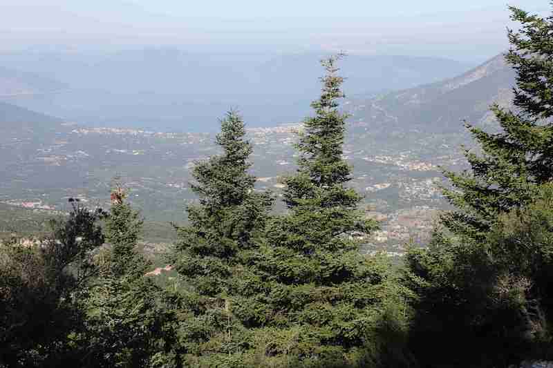 Εξήντα χρόνια Εθνικός Δρυμός Αίνου - dasarxeio.com