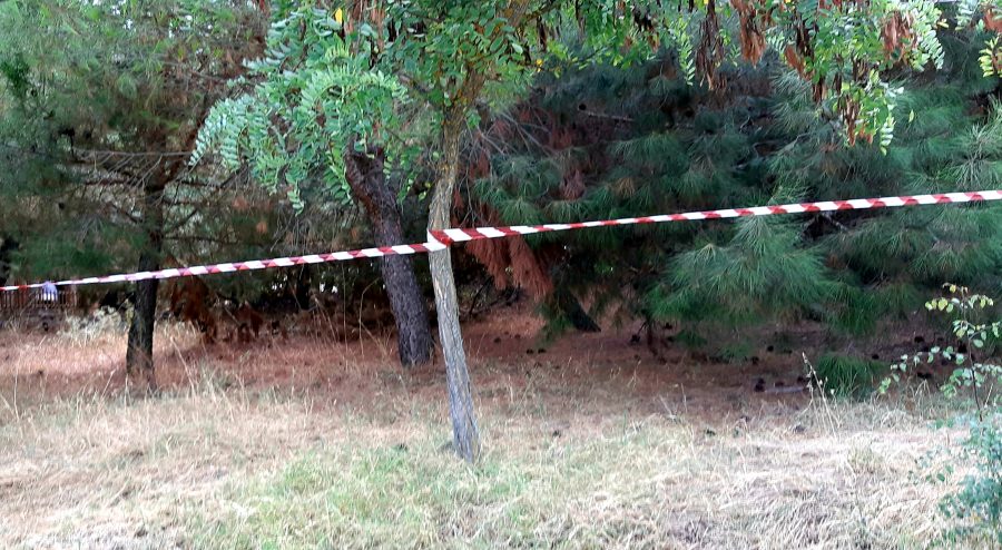 Προληπτική απαγόρευση κυκλοφορίας σε δασικά οικοσυστήματα, πάρκα και ...