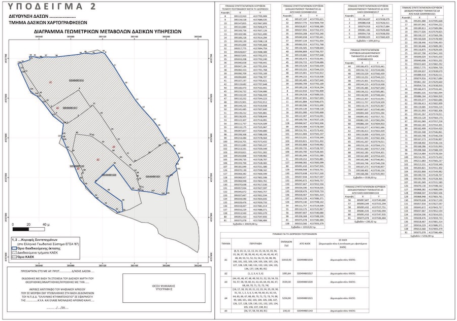 Διαδικασία έκδοσης, μορφή και περιεχόμενο του Διαγράμματος Γεωμετρικών ...