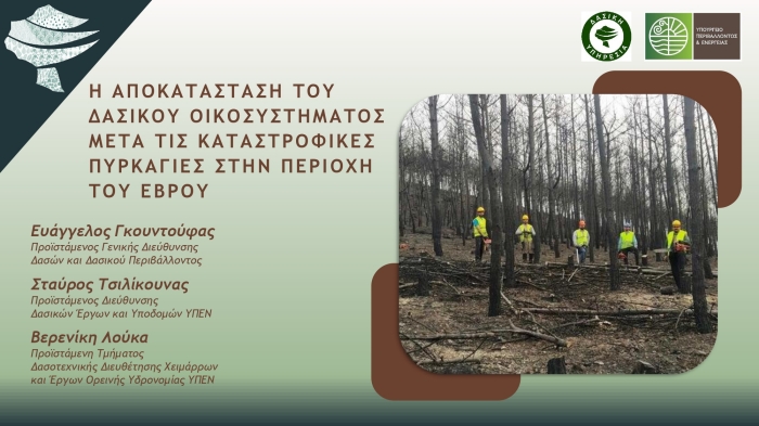 Η αποκατάσταση του δασικού οικοσυστήματος μετά τις καταστροφικές ...