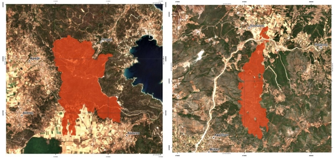 Ενημέρωση της Δ/νσης Δασών Ευβοίας για τις πυρκαγιές στις 29 & 31 ...
